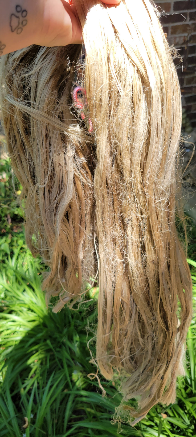 Snake Plant Leaf Long Fiber Bundle. 100% Natural Semi-Combed Fiber ...